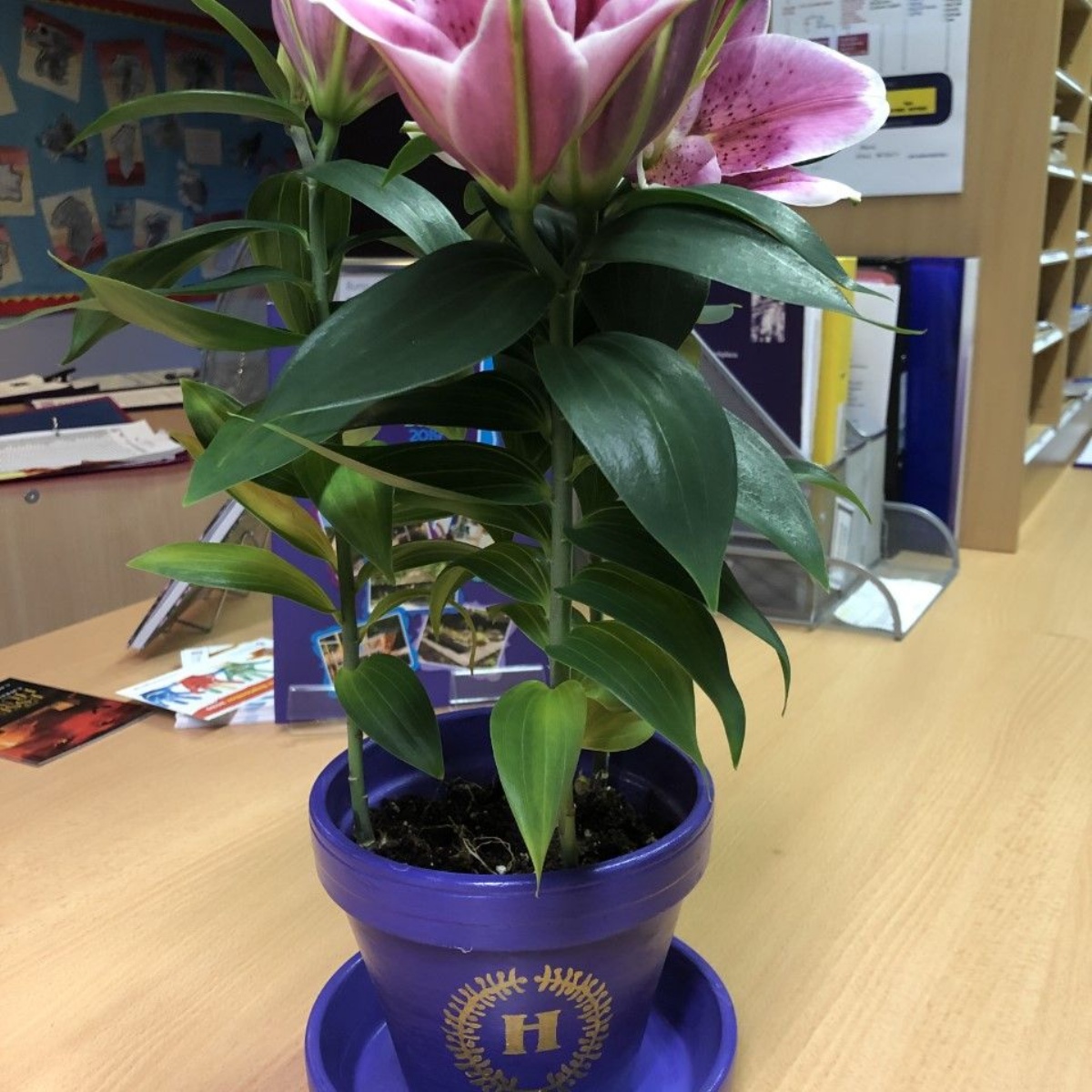 Heatherside Infant School - Item Not Available